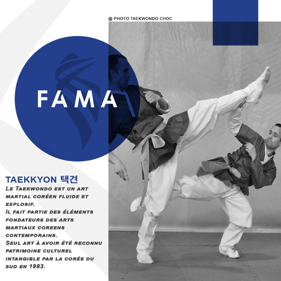 TAEKKYON ET SANTE - FAMA - Fédération Arts Martiaux Autonomes